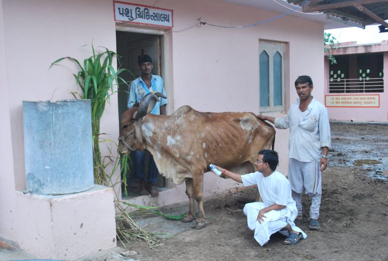 Gaushala - Sandipani